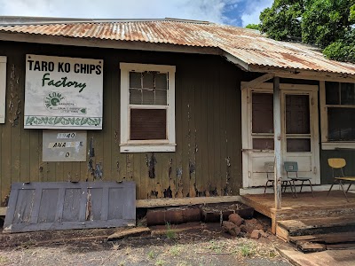 Taro Ko Farm – Kauaʻi Connect