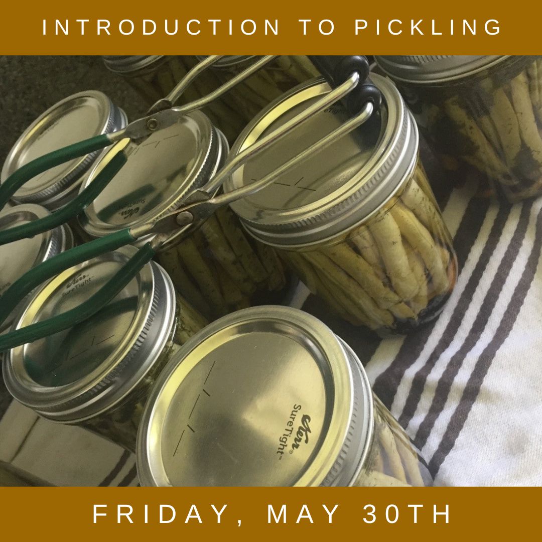 Pickle-Class-rVVLDv – Kauaʻi Connect